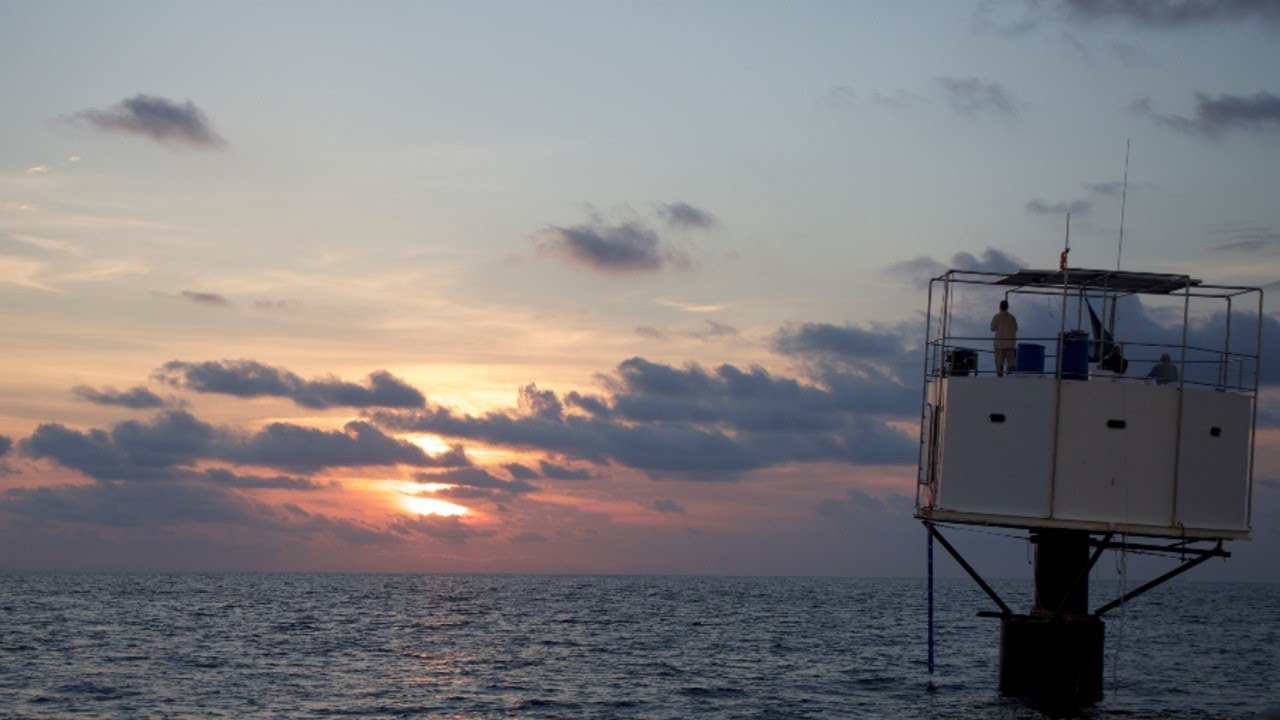 Seasteading! What did the first seastead achieve? – The Seasteading ...