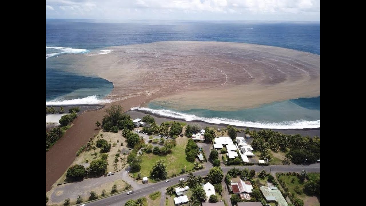 Seasteading! Where does the poop go? – The Seasteading Institute